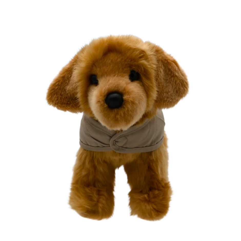 America's Vet Dogs – America's Vet Dogs