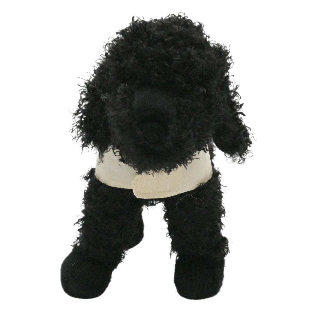 America's Vet Dogs – America's Vet Dogs